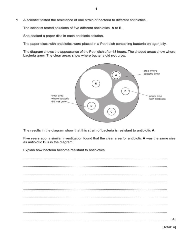 Biology Exam Questions: Antibiotic Resistance & Genetics