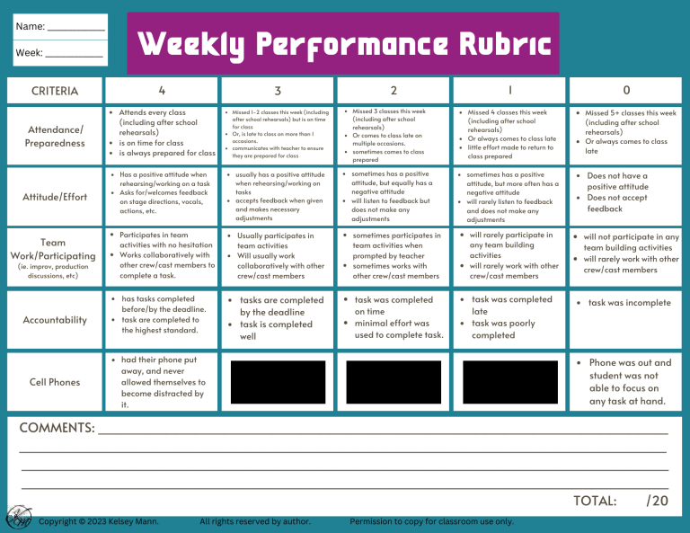 Weekly Performance Rubric: Student Evaluation