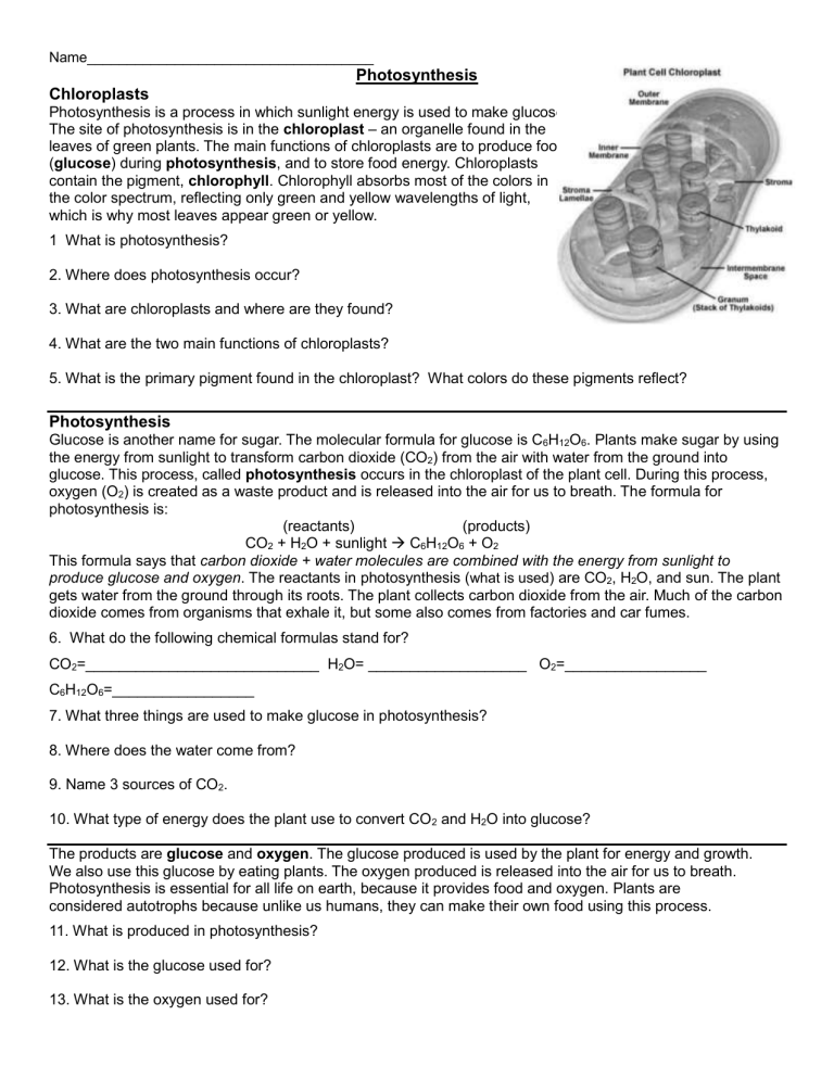 Photosynthesis & Cellular Respiration Worksheet