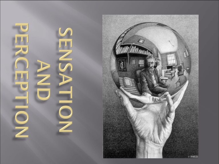 Sensation and Perception: Physics & Psychology Slides