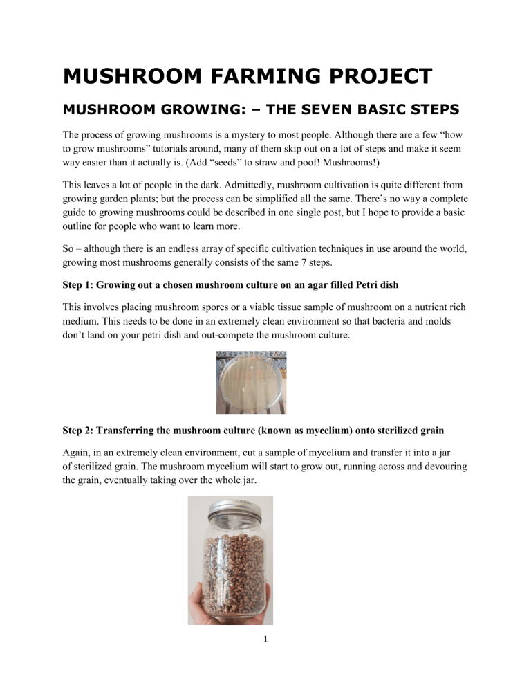 Mushroom Farming: A Beginner's Guide to Growing Mushrooms