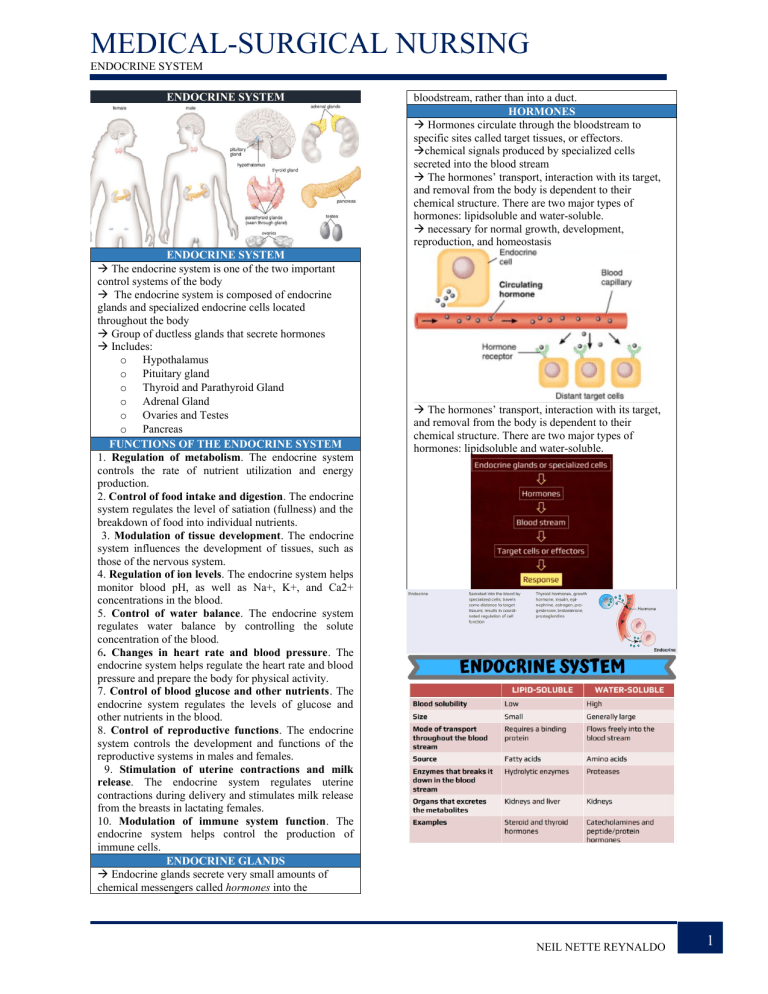Endocrine System: Nursing Lecture Notes