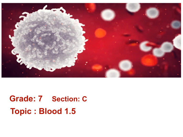 Blood Basics: Red & White Blood Cells - Grade 7 Lesson