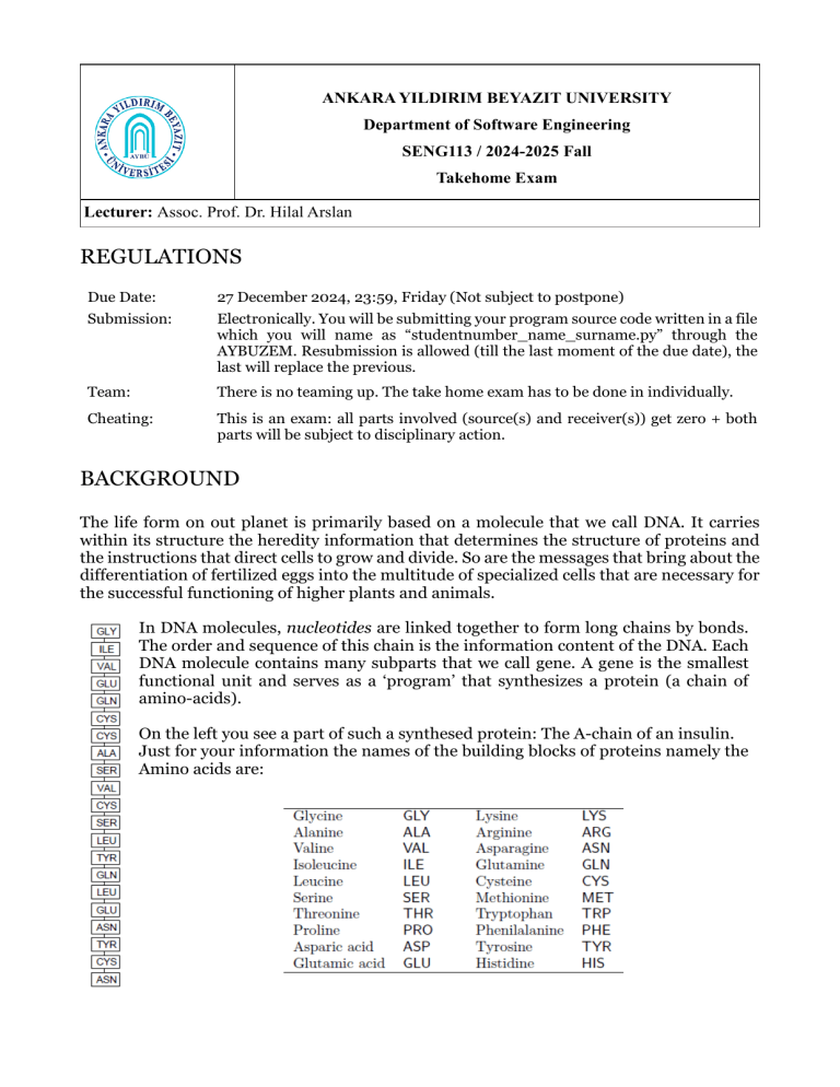 Software Engineering Exam: DNA, Genes, Protein Synthesis