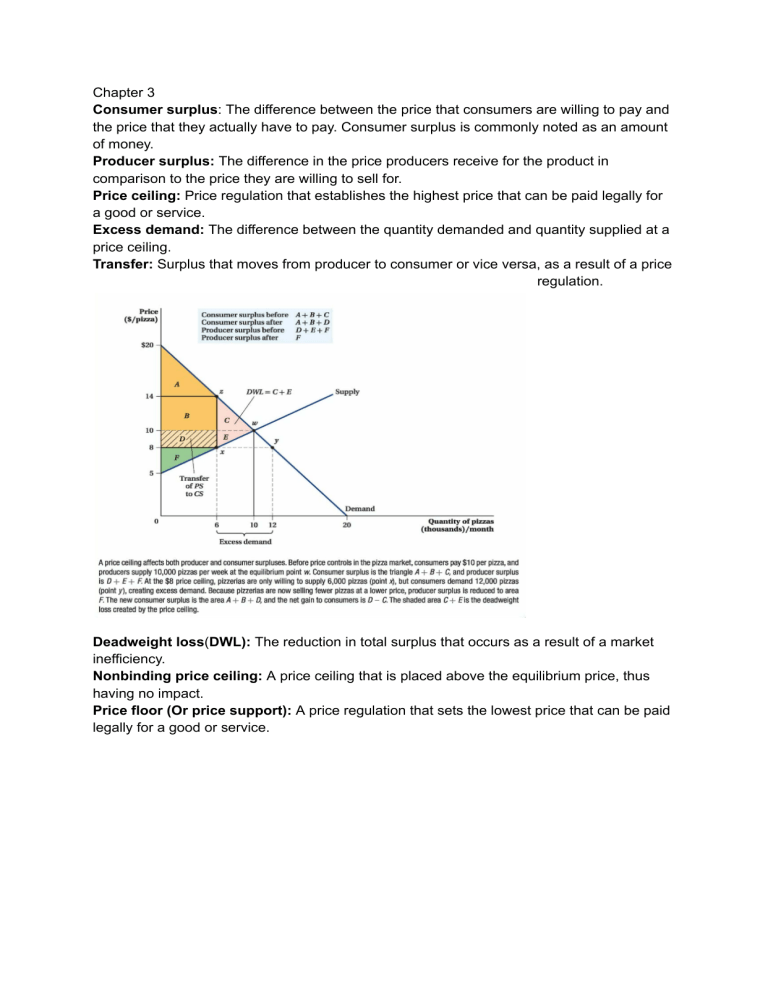 Consumer & Producer Surplus: Price Controls & Market Efficiency