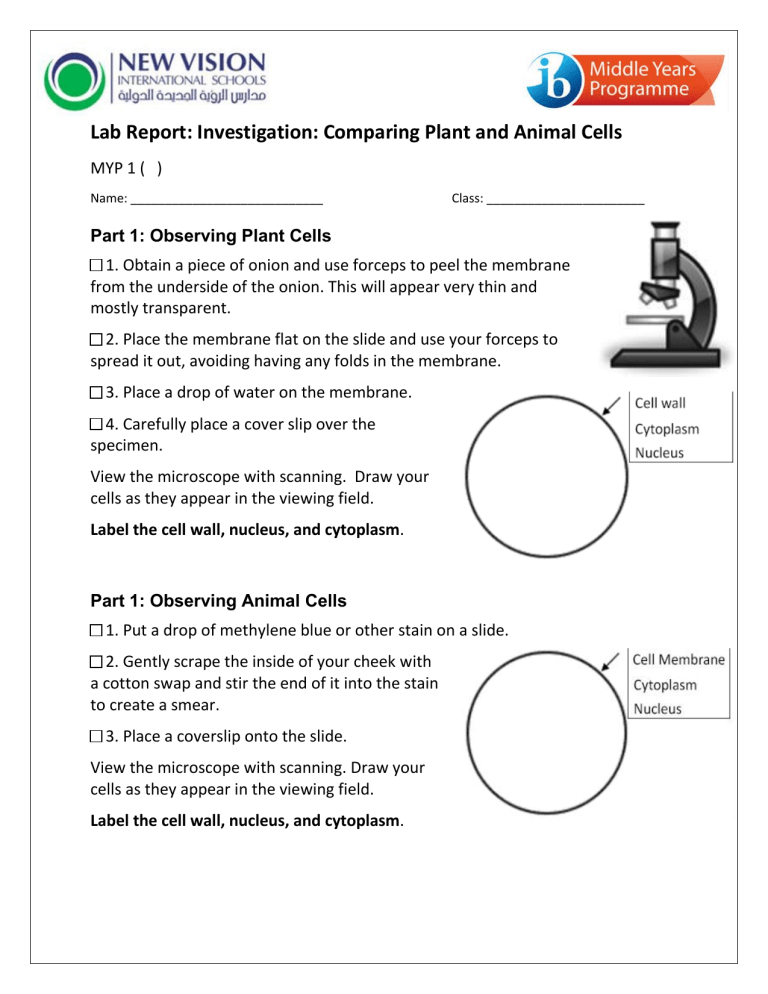Plant vs. Animal Cells Lab Report - Middle School