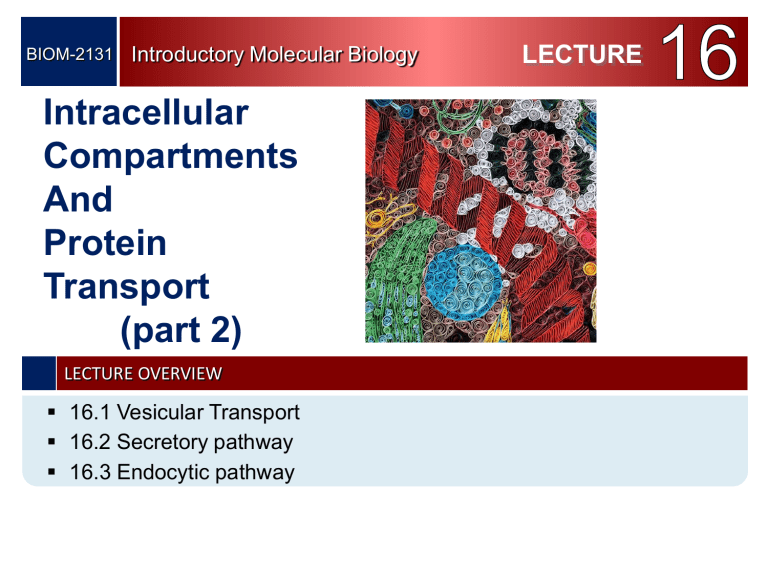 Intracellular Compartments & Protein Transport Lecture