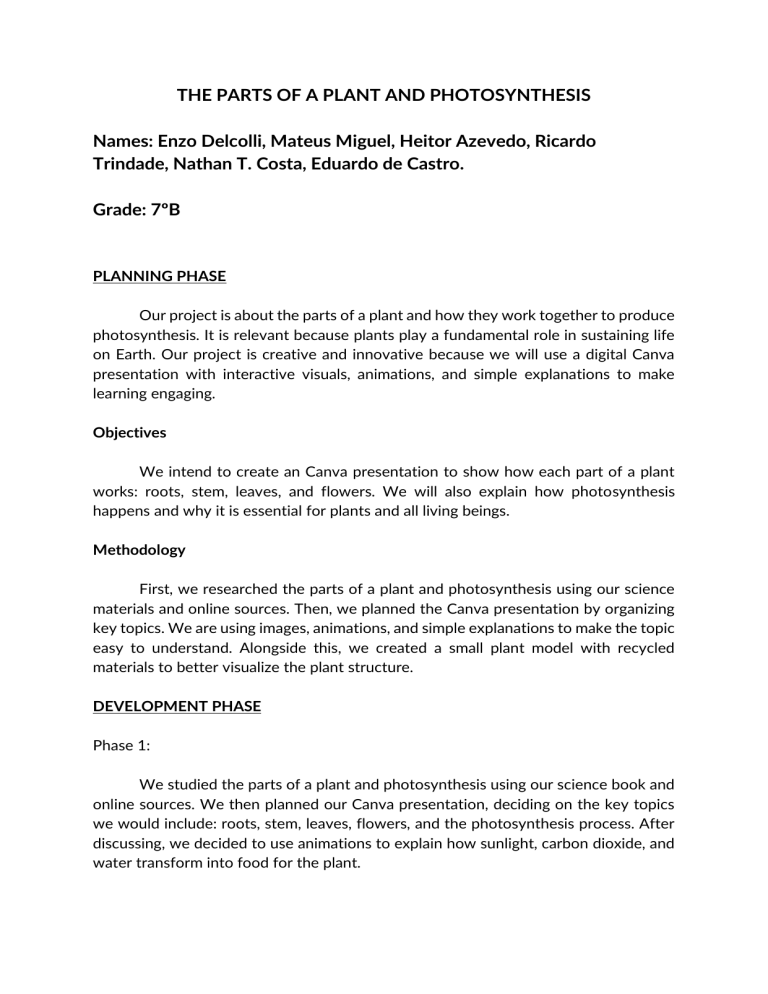 Plant Parts & Photosynthesis: Middle School Project