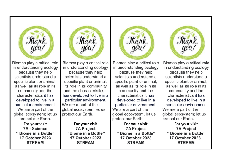 Biome in a Bottle: Ecology & 7th Grade Science Project