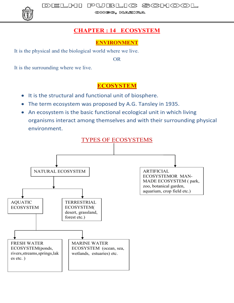Ecosystem Lesson Notes Types Components And Functions