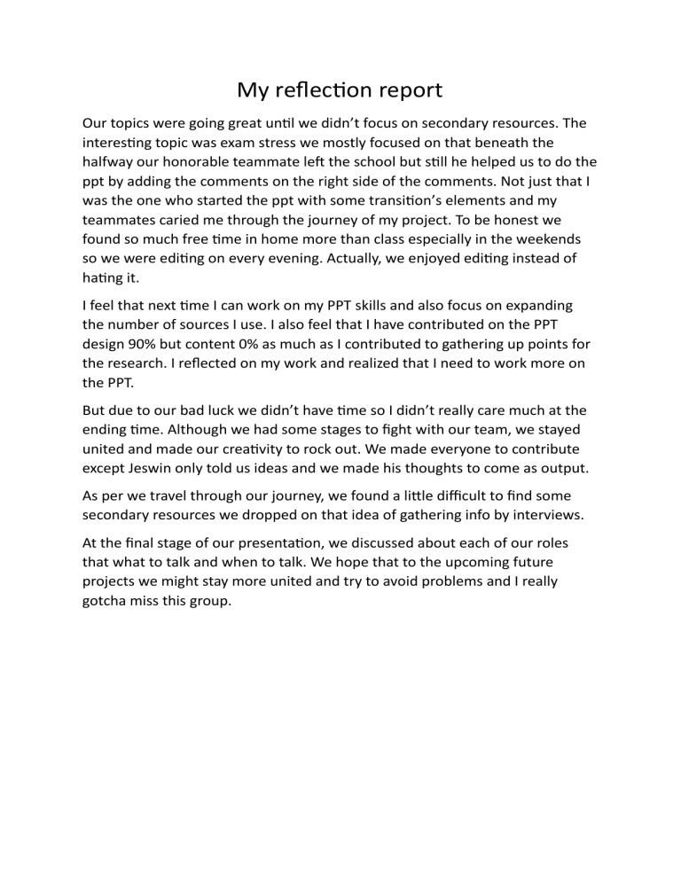 Reflection Report: Team Project Experience
