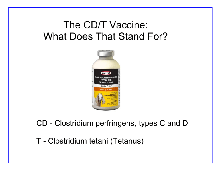 Goat Health: CD/T Vaccine & Internal Parasite Prevention