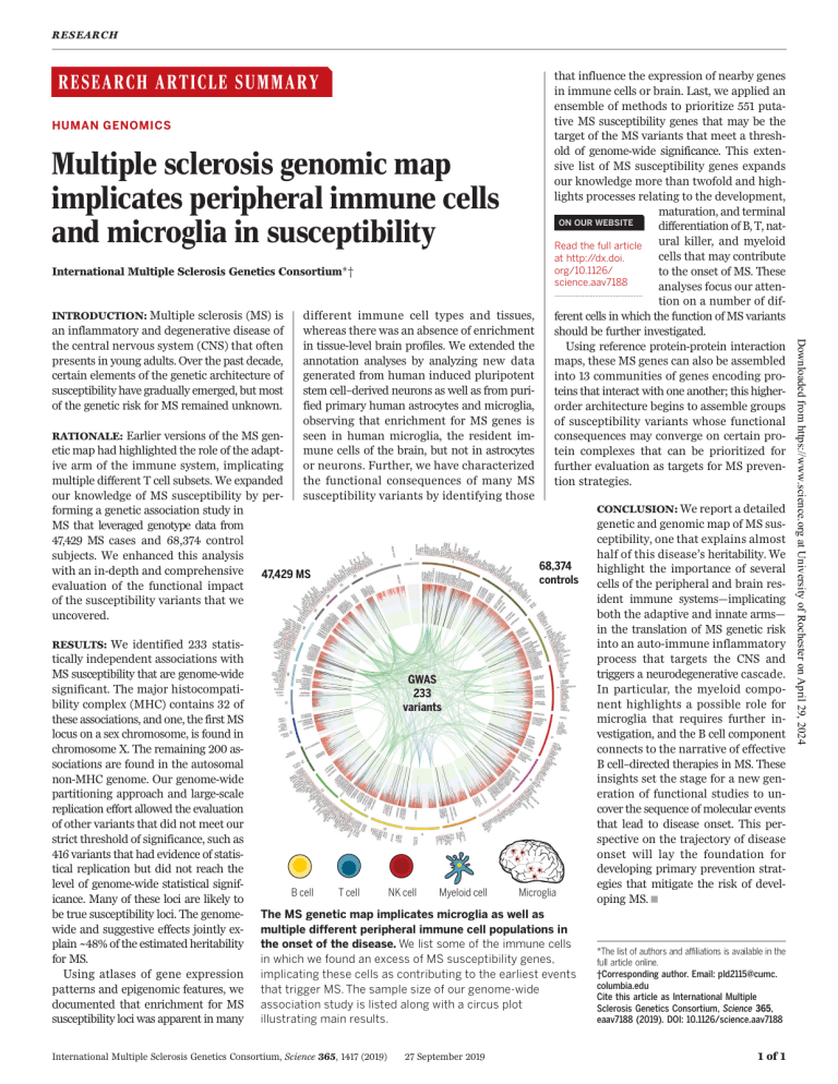 MS Genomics: Immune Cells & Microglia in Multiple Sclerosis