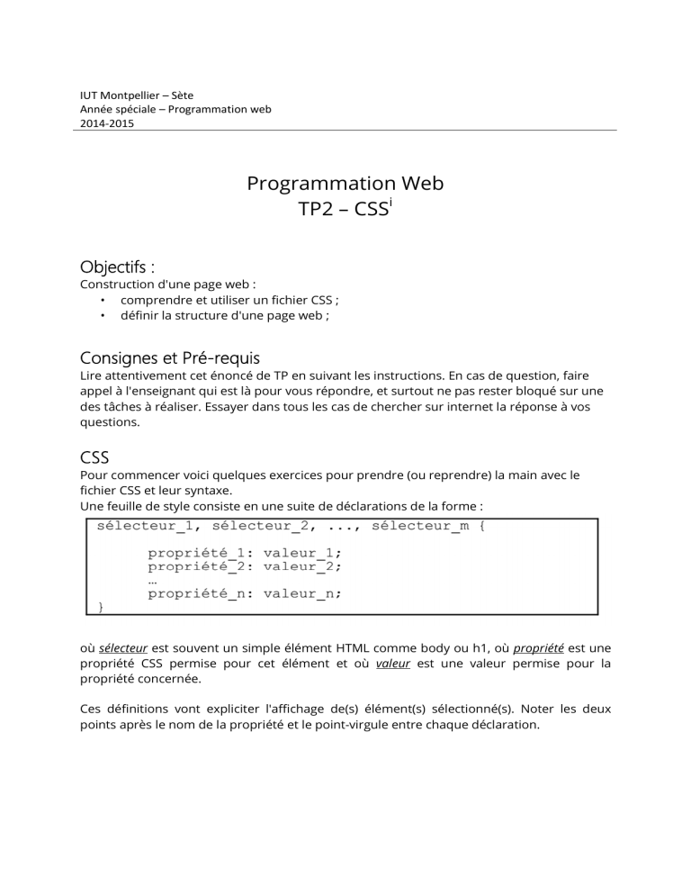 TP CSS : Programmation Web