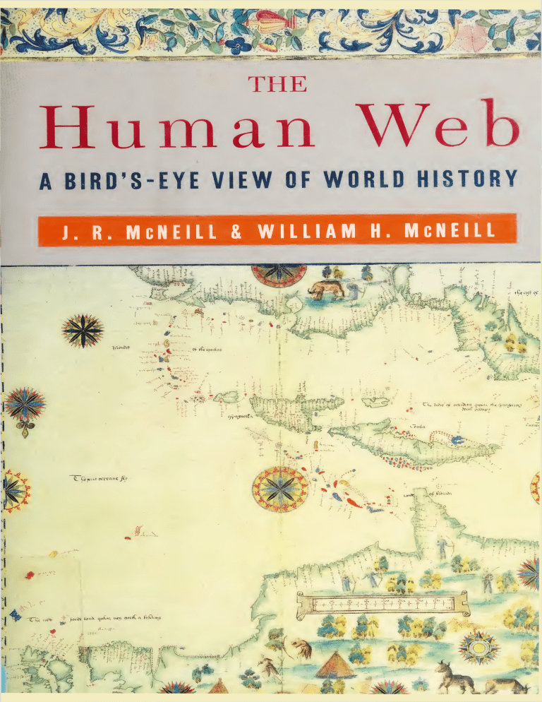 The Human Web: A Bird's-Eye View of World History