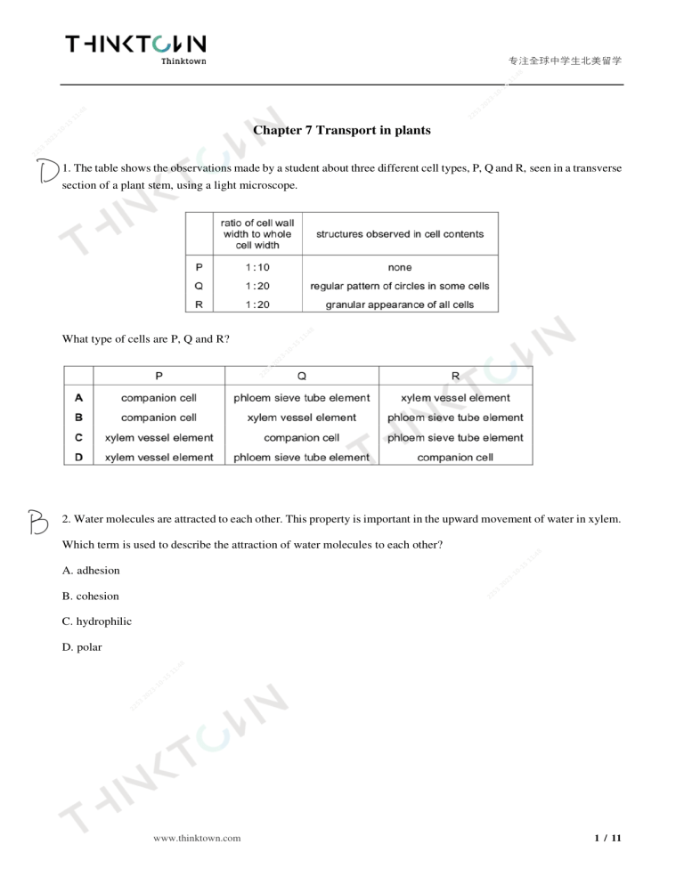 Plant Transport Exam Questions - High School Biology