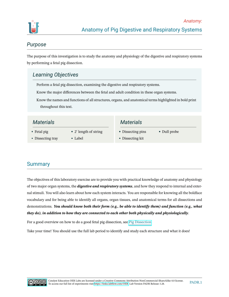 Fetal Pig Dissection: Digestive & Respiratory Anatomy