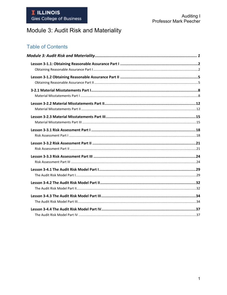 Audit Risk & Materiality: Course Module