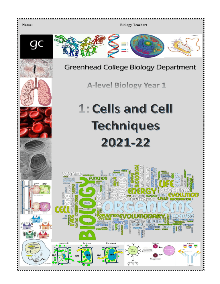 Cell Structure & Techniques: Biology Worksheet