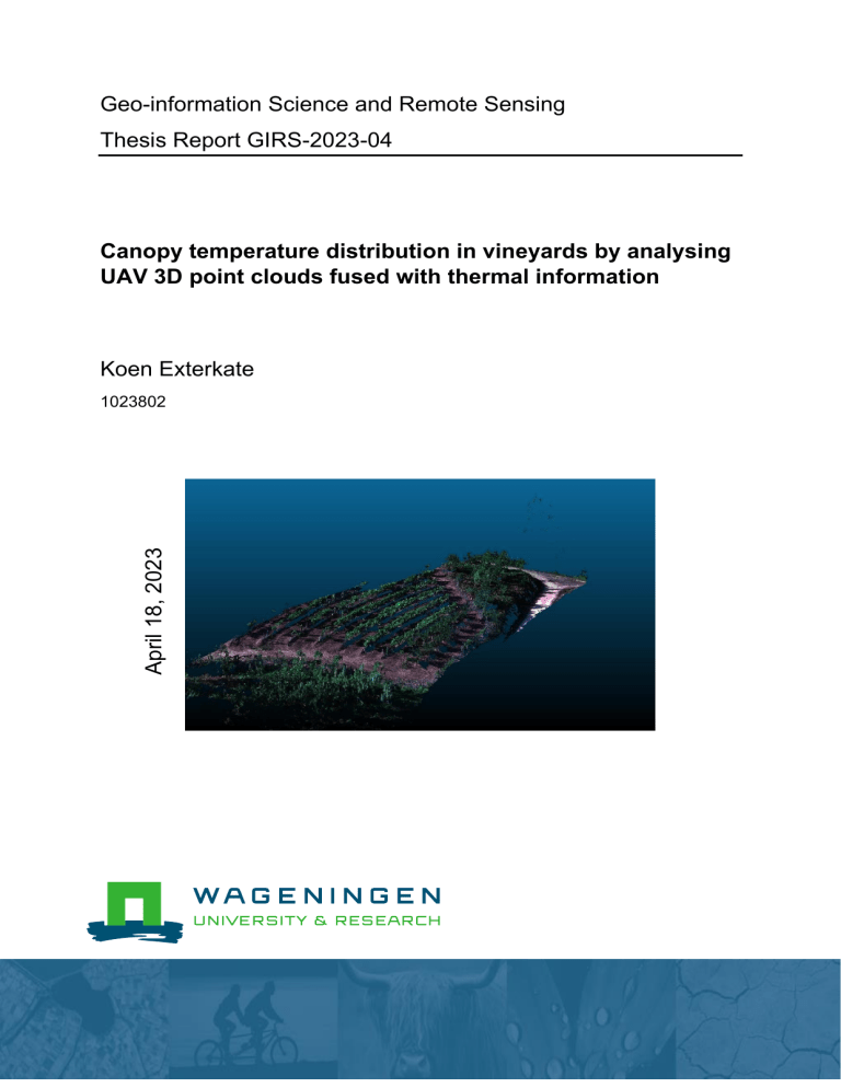 Vineyard Canopy Temperature Analysis Using UAV & Thermal Data