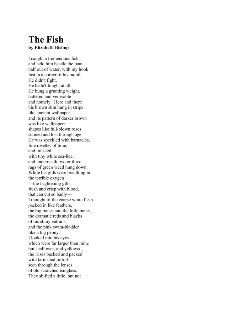 The Fish by Elizabeth Bishop: A Poem Analysis
