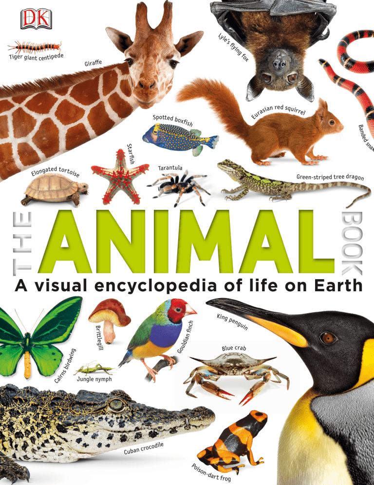 Visual Encyclopedia of Life on Earth