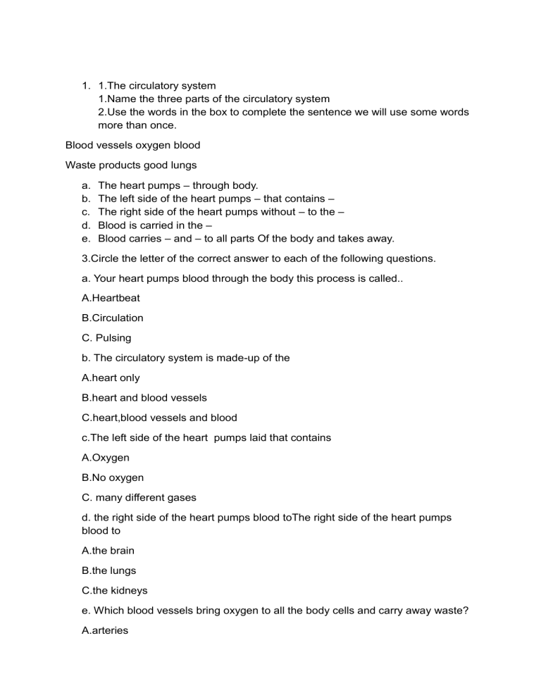 Circulatory, Respiratory & Reproductive Systems Worksheet
