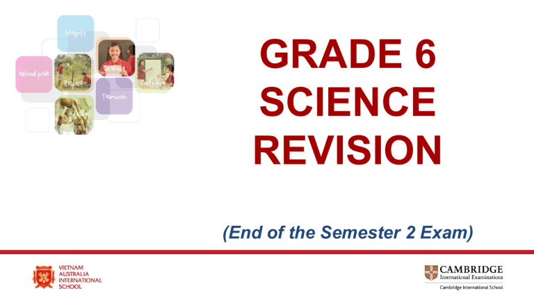 Grade 6 Science Revision: Semester 2 Exam Prep