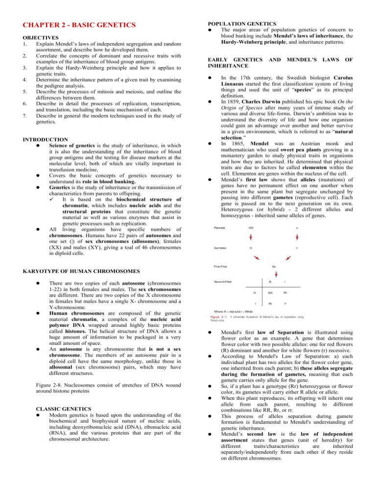 Basic Genetics: Mendel's Laws, Hardy-Weinberg, Inheritance