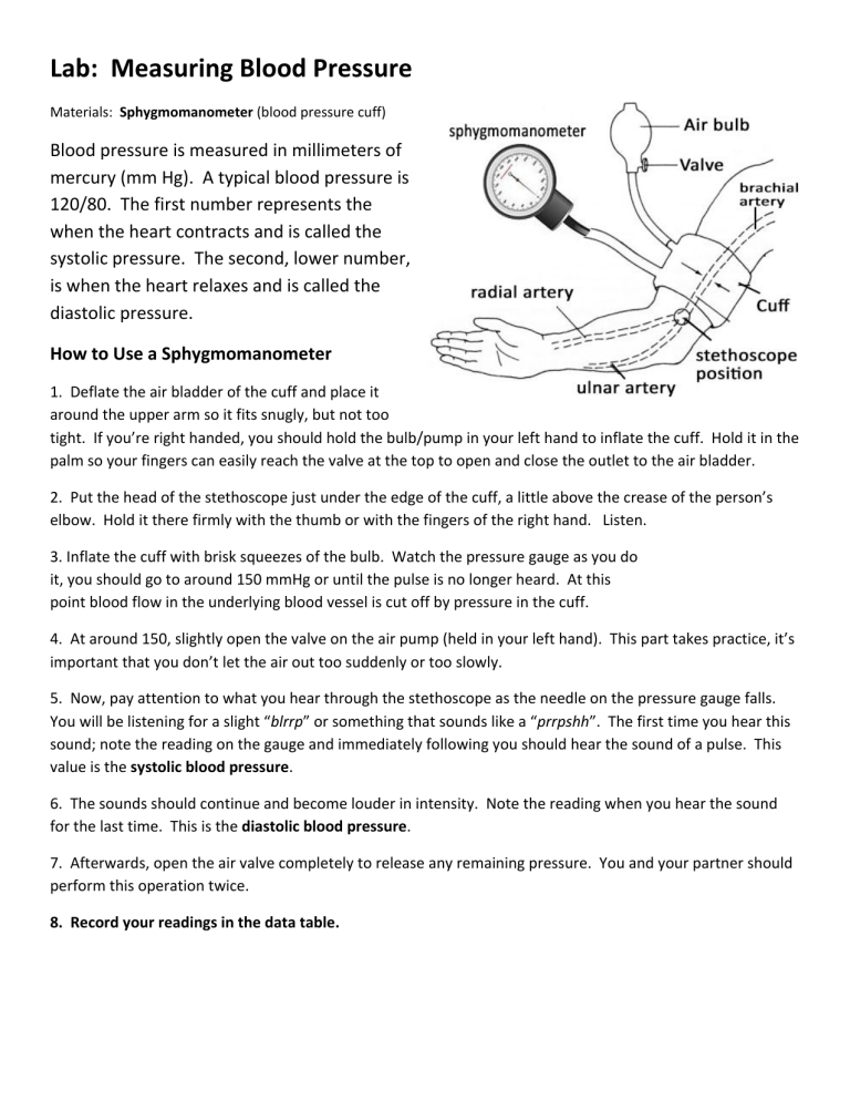 Blood Pressure & Heart Rate Lab: Measurement Guide