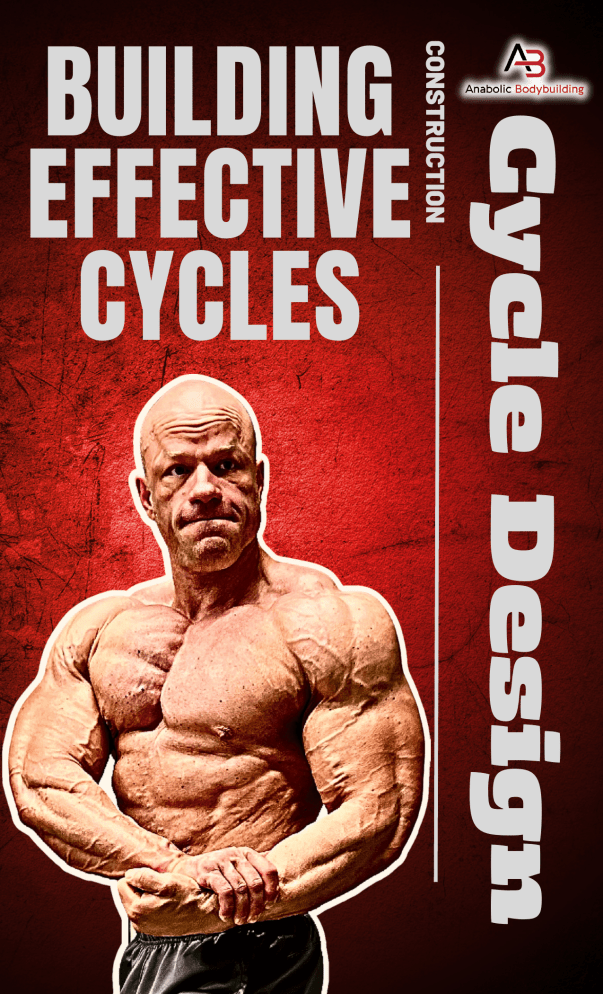 Cycle Design: Steroid Guide for Bodybuilding Phases