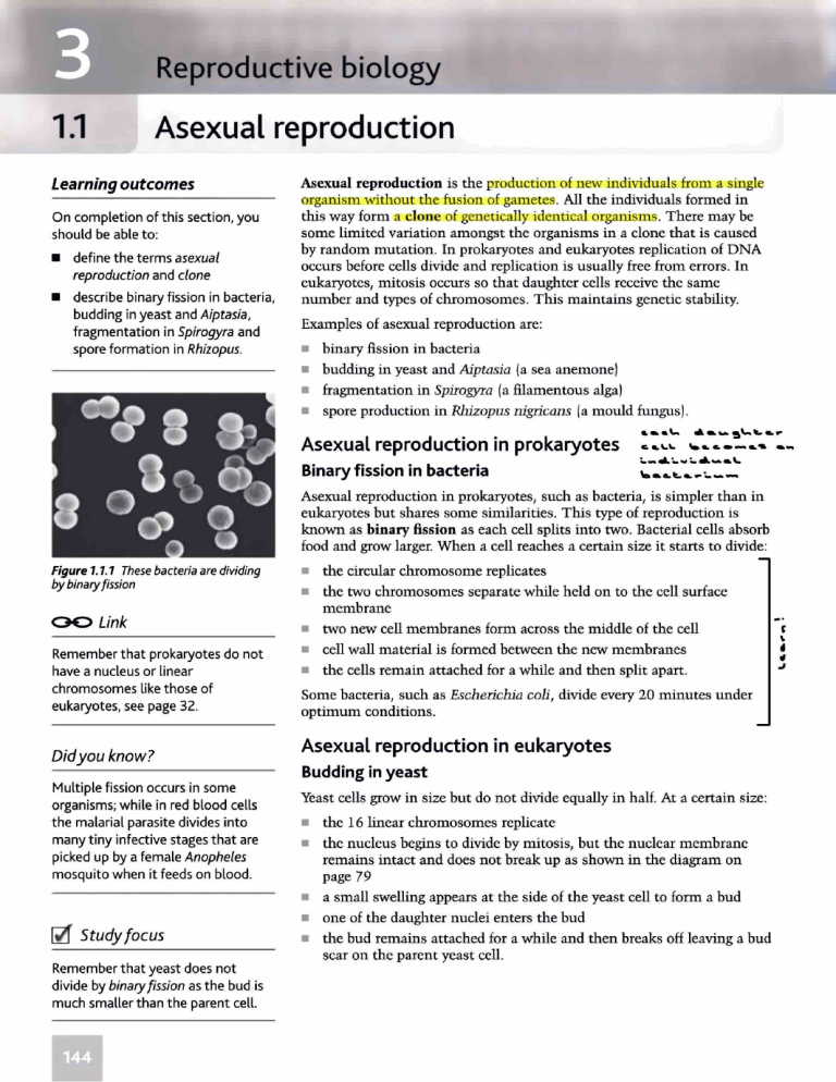 Asexual Reproduction: Biology Textbook Excerpt