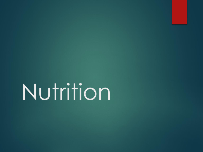 Nutrition Basics: Food Groups, Nutrients & Healthy Eating