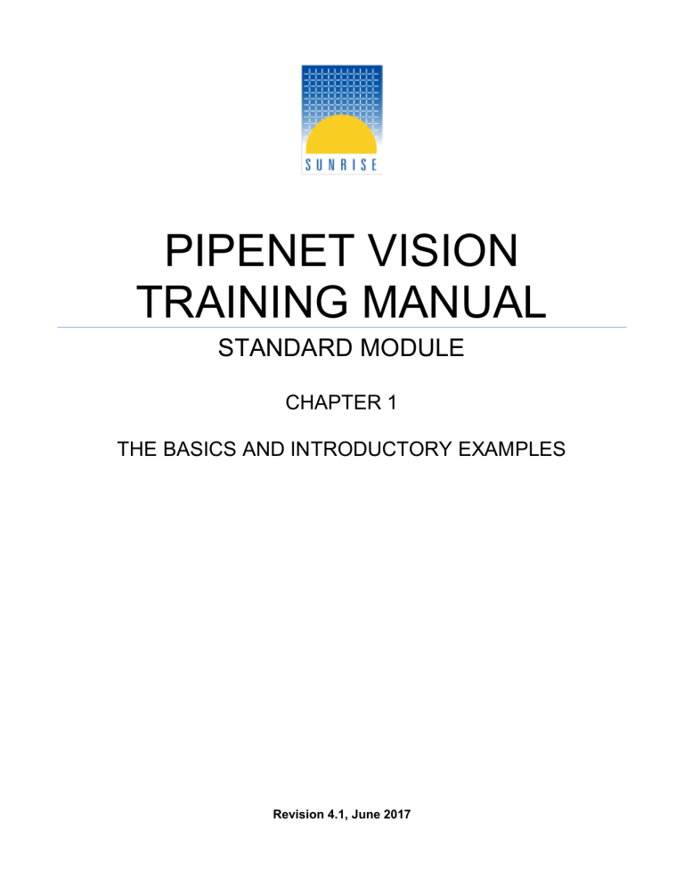 PIPENET VISION Training Manual: Fluid Flow Analysis Basics