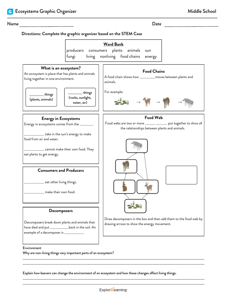 Ecosystems Graphic Organizer: Middle School Science