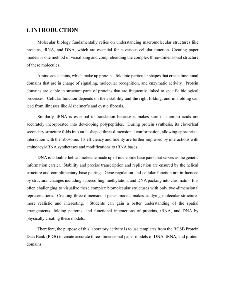 3D Paper Models of Biomolecules: Lab Activity