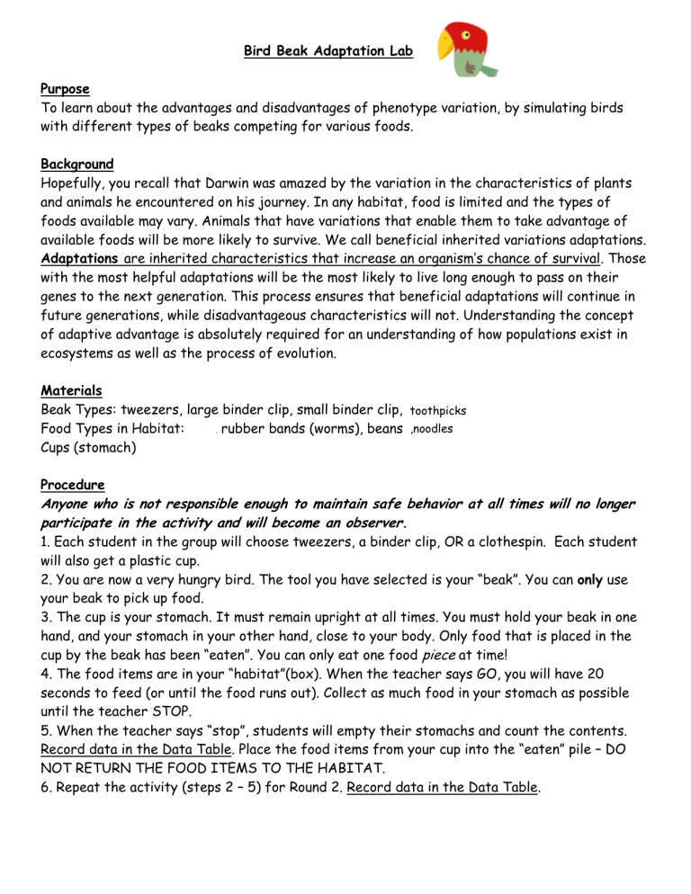 Bird Beak Adaptation Lab: Natural Selection Activity