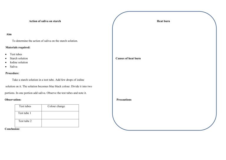 Saliva and Starch Experiment: Lab Report