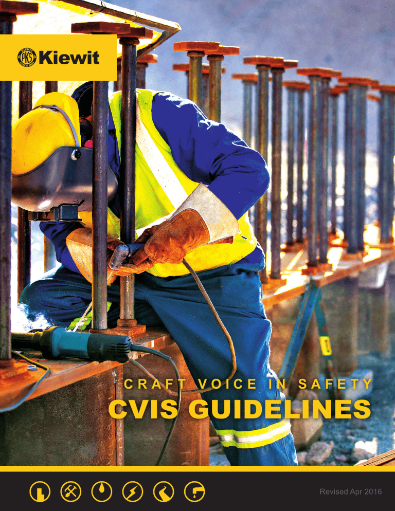 CVIS Guidelines: Craft Voice in Safety