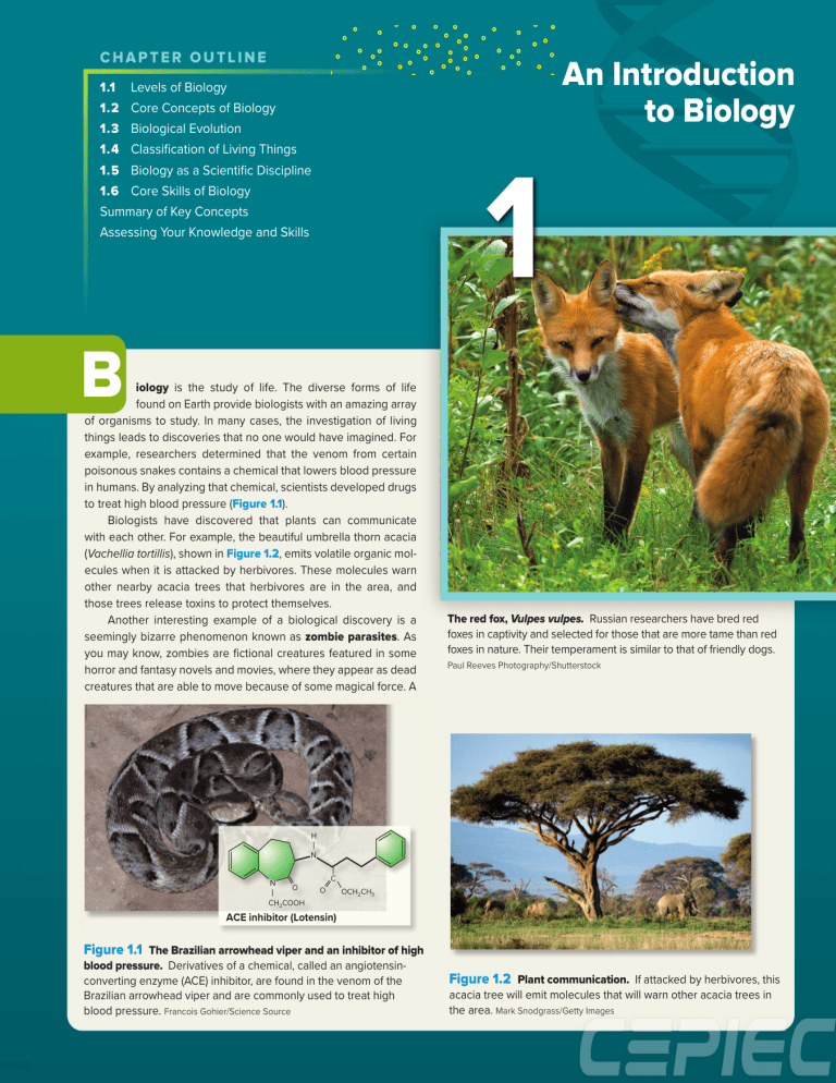 Intro to Biology: Levels, Concepts, Evolution & Skills