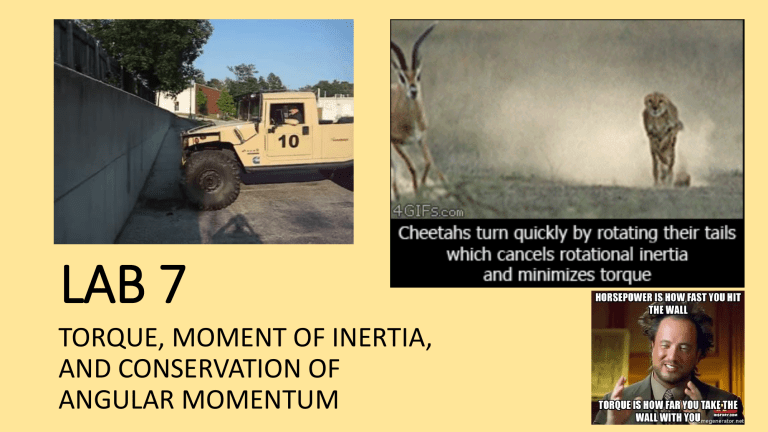 Torque, Inertia, Momentum Lab: Physics Experiments