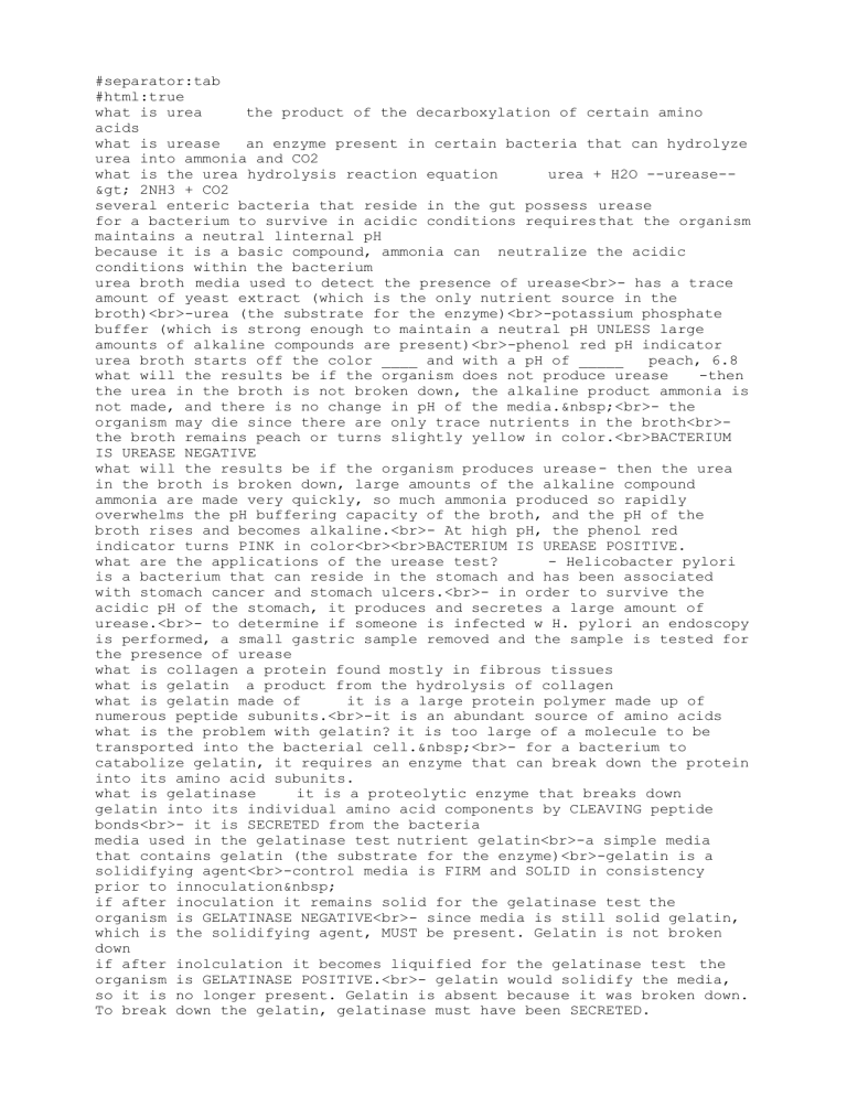 Microbiology: Enzyme Tests & Coliform Detection Study Guide