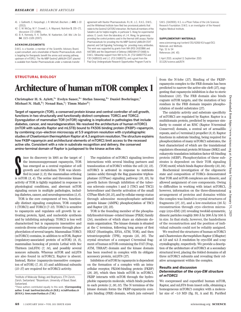 Human mTOR Complex 1 Architecture: A Structural Biology Study