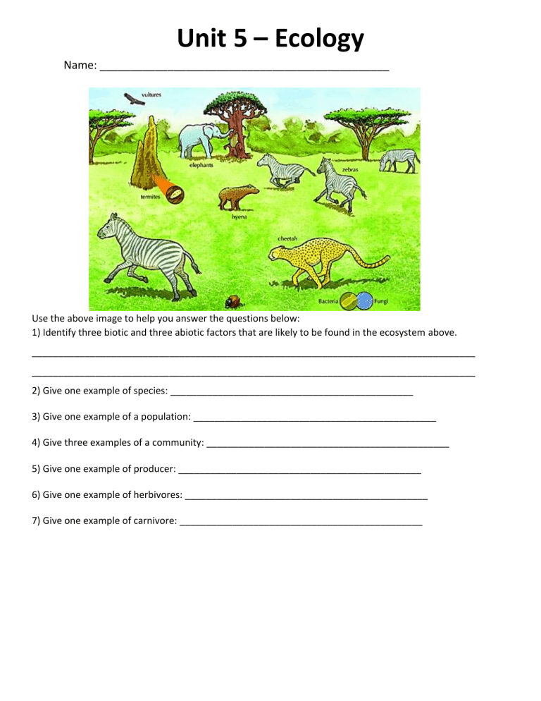 Ecology Worksheet: Biotic & Abiotic Factors, Food Chains
