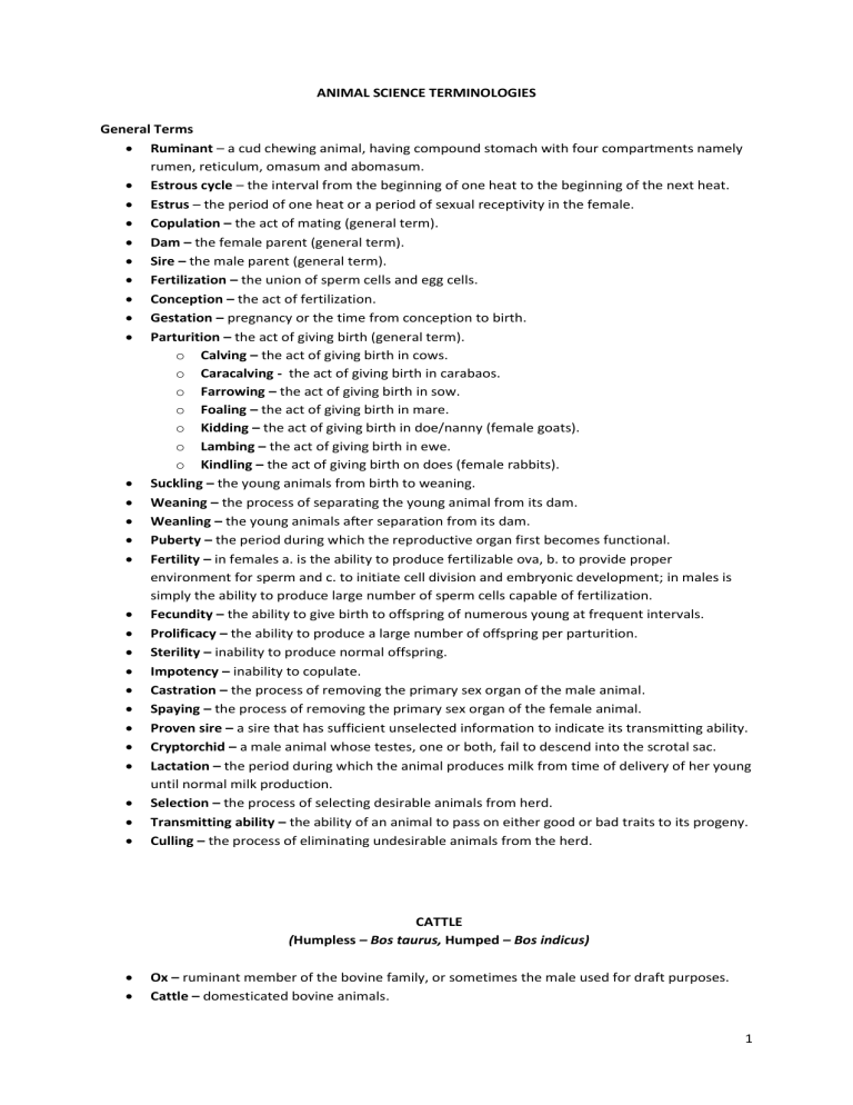 Animal Science Terminology: Definitions & Terms