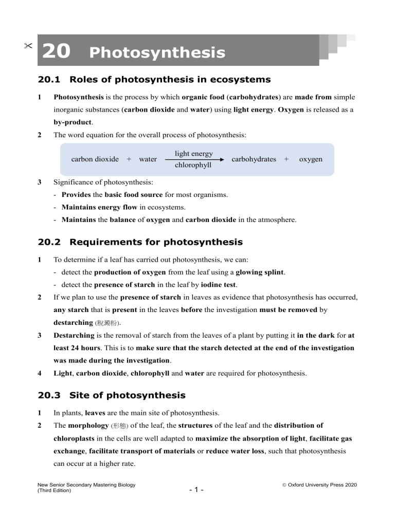 Photosynthesis: Roles, Requirements, and Process