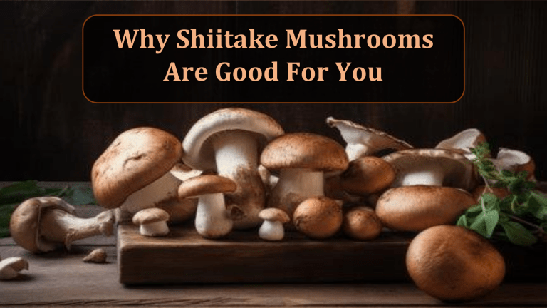 Shiitake Mushrooms: Benefits, Nutrition, and Uses
