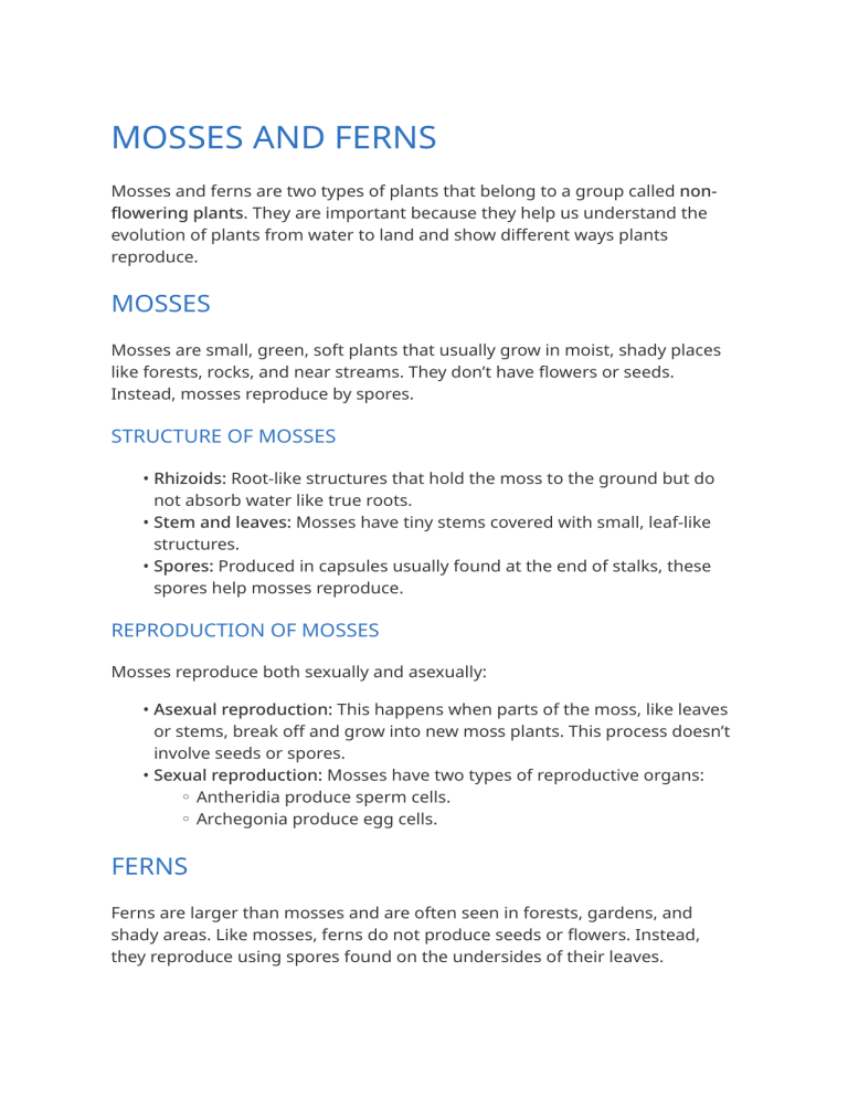 Mosses and Ferns: Structure, Reproduction, and Importance