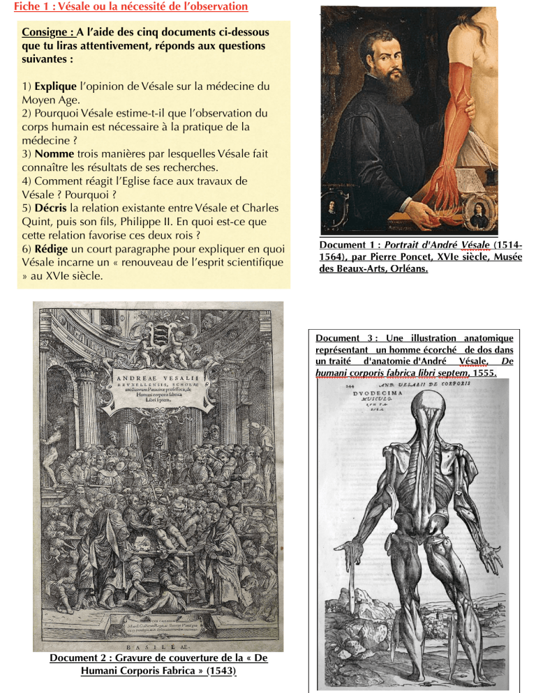 Vésale & la nécessité de l'observation: Fiche