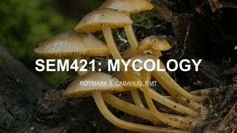 Mycology: An Introduction to Fungi